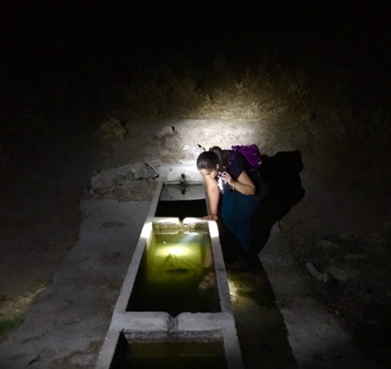 Viaje herpetológico por Arribes del Duero y Monfragüe - Bicheando.net ...