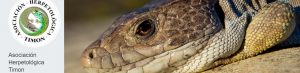 Las páginas de facebook sobre reptiles y anfibios que no puedes perderte.