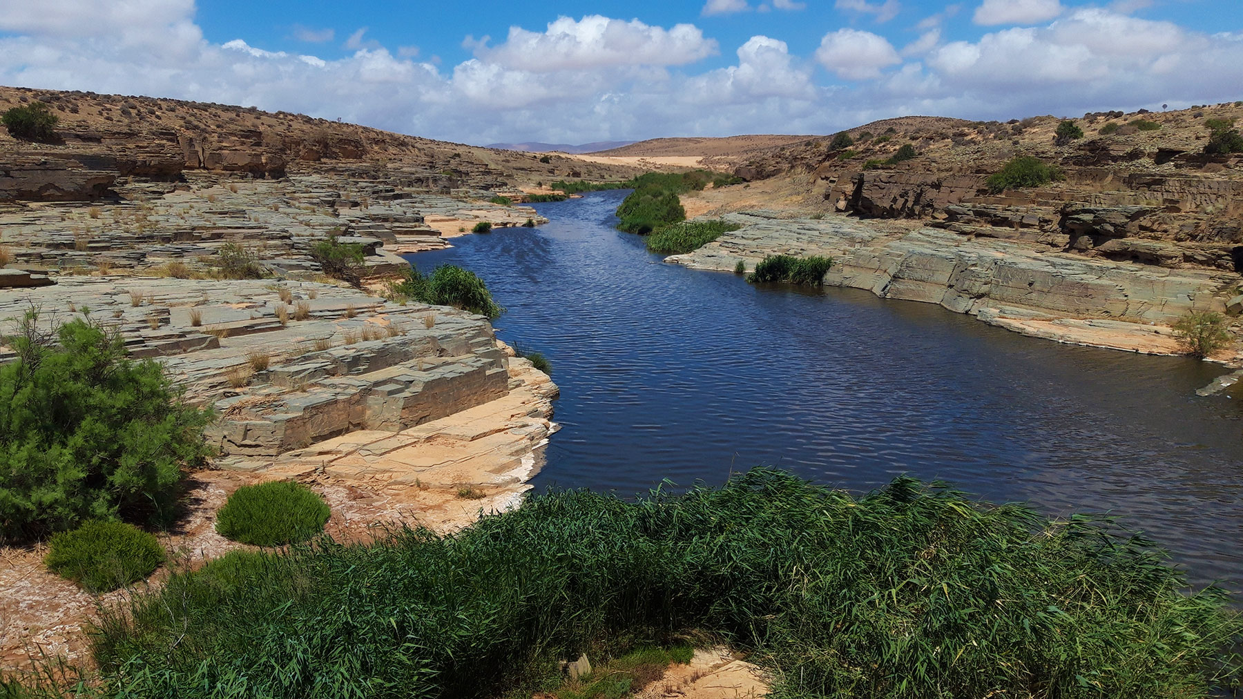 Viaje herpetológico por Marruecos 2019. Segunda parte. Guelmim-Khenifiss